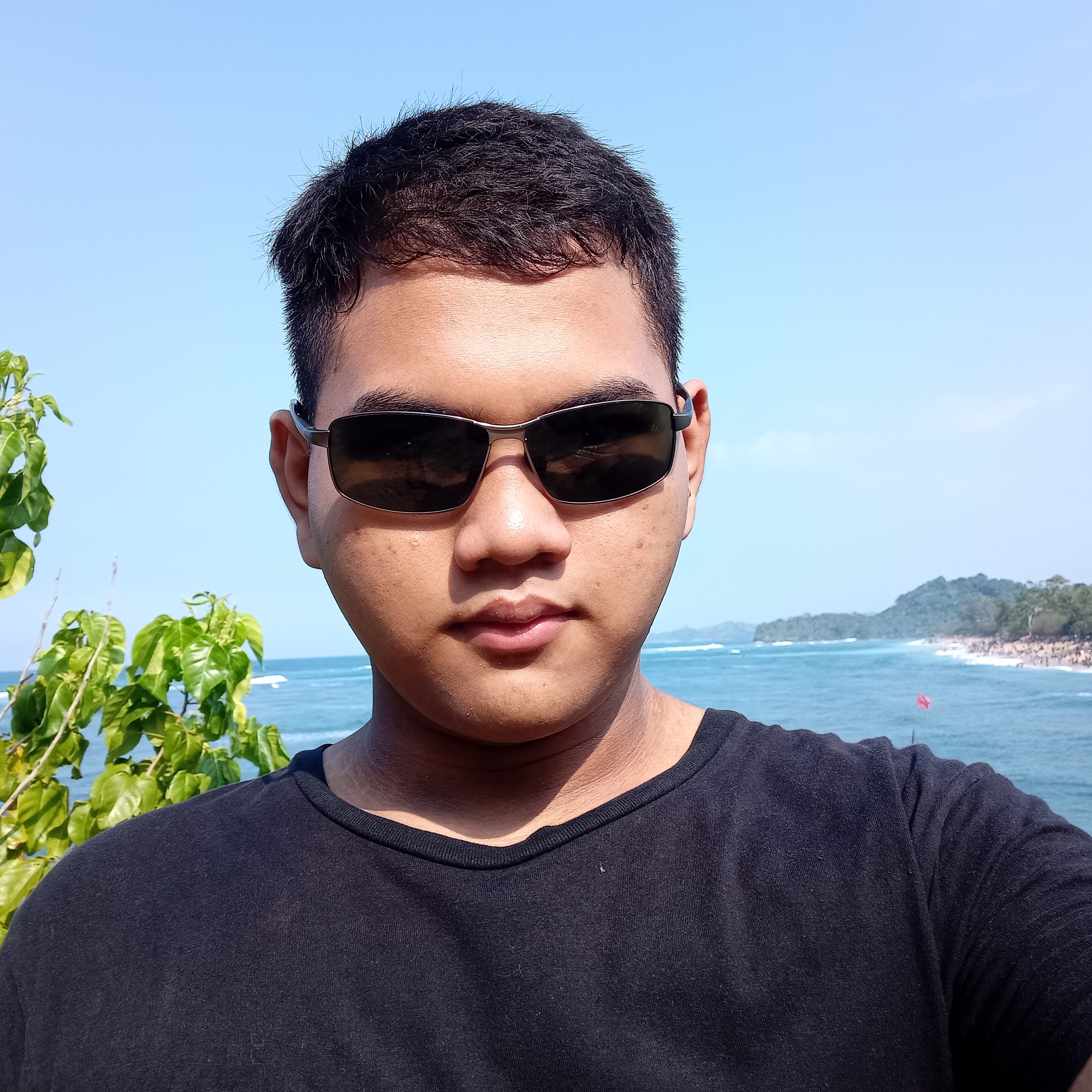 Bola Rush Official Website